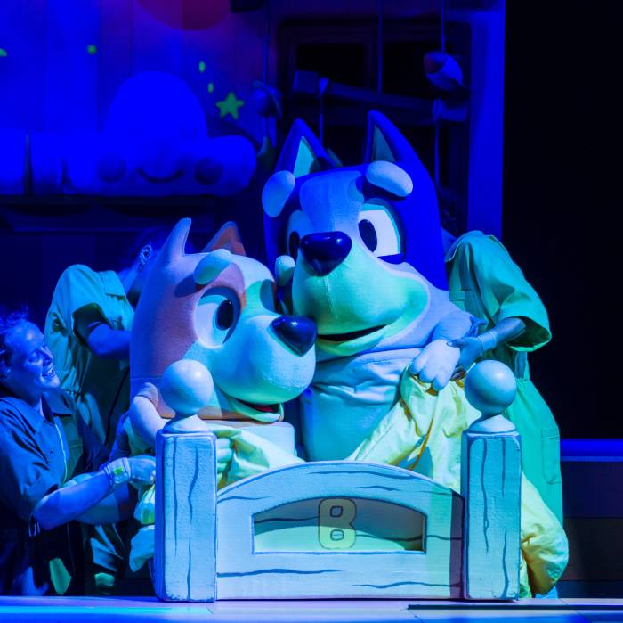 Bluey's Big Play The Stage Show Review: A Performance That's Engaging ...