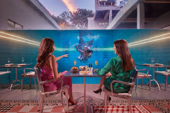 Fish Pool, The NCO Club review: mermaid performance and more
