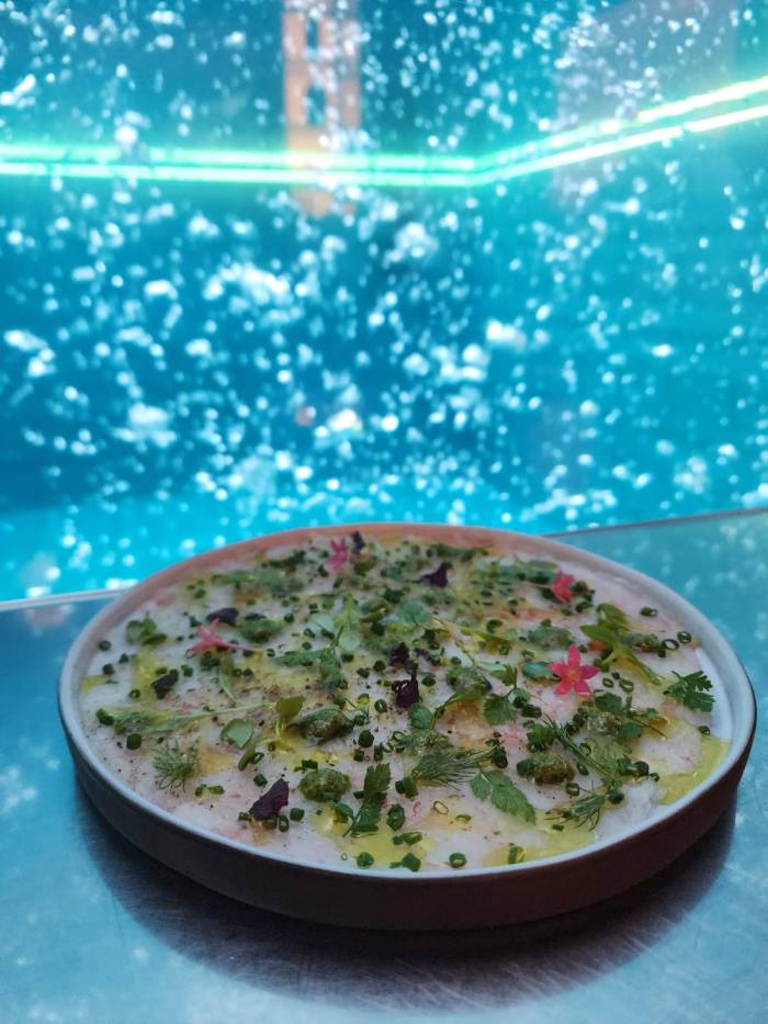 Fish Pool, The NCO Club review: mermaid performance and more